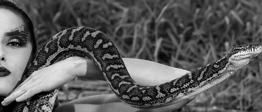 Analisa Corr - KAVYAR